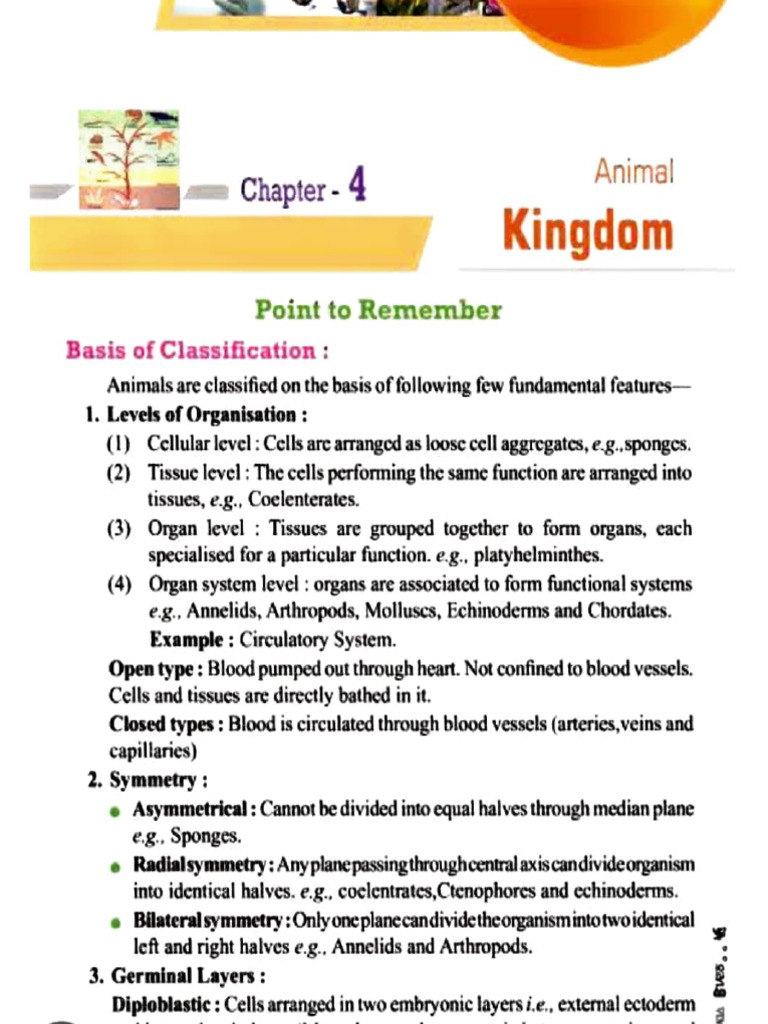 Animal Classification Basics Explained | PDF