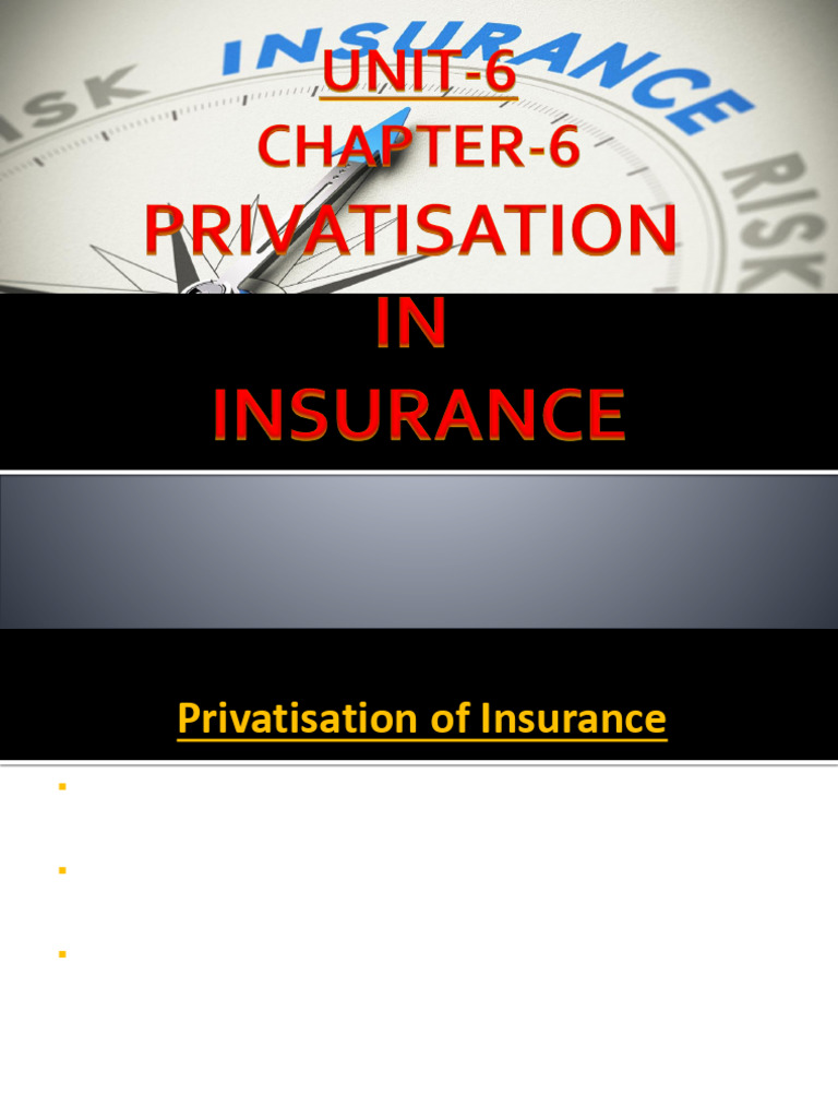 Unit-6 Ch-6 Privatisation | PDF | Insurance | Economies