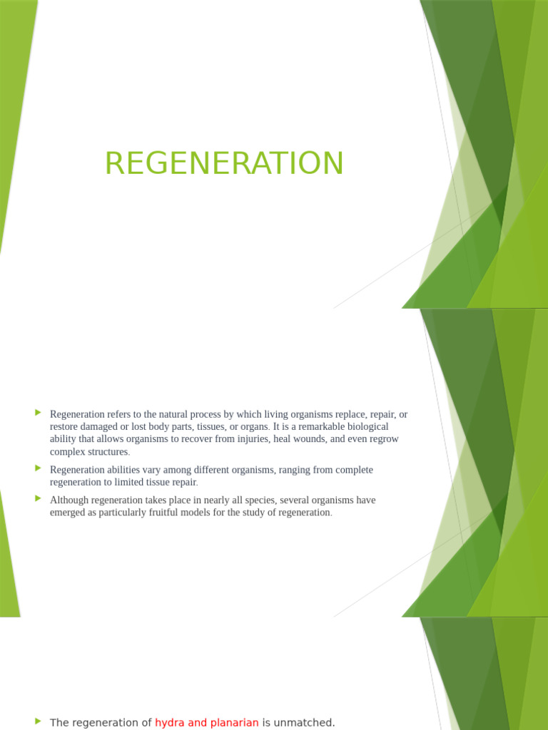 Modes and Mechanisms of Regeneration | PDF | Regeneration (Biology ...
