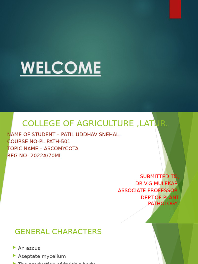 Ascomycota Sup Snehal | PDF | Organisms | Biological Processes