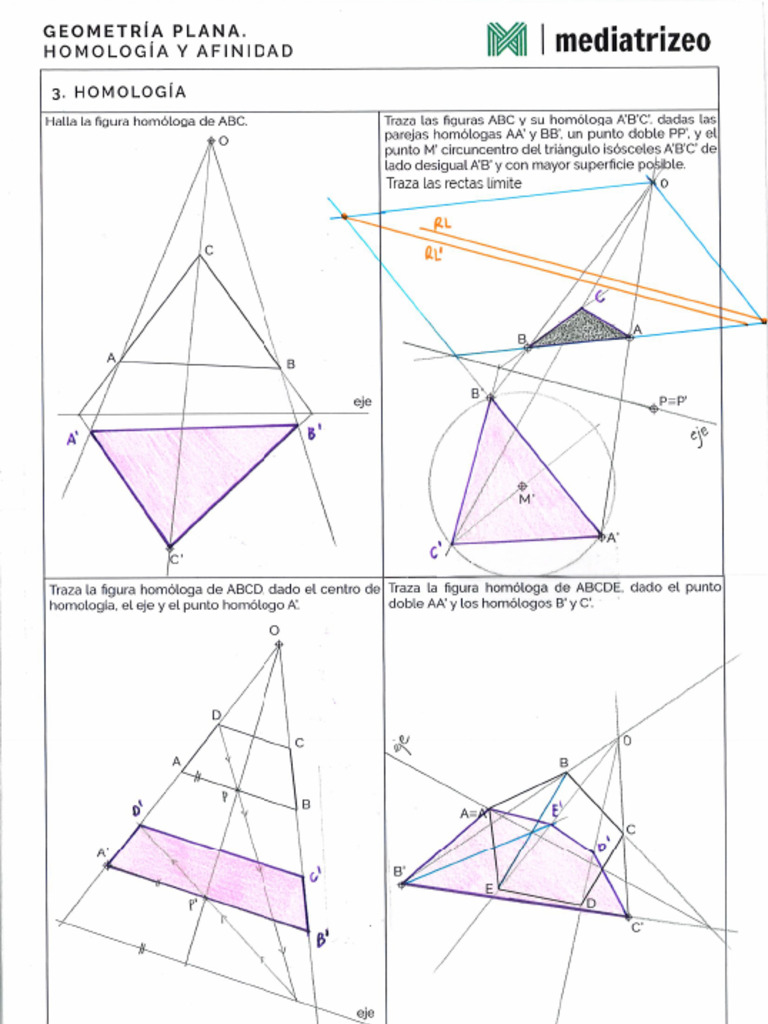 EJ CLASE HOMOLOGIAsol | PDF