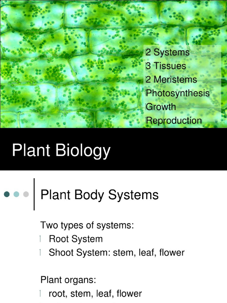 Plant Biology | PDF