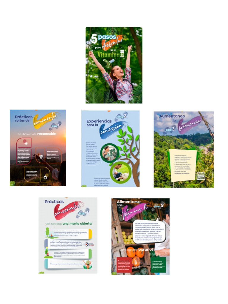 Vitamina N | PDF