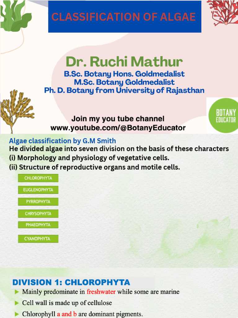 G.M. Smith's Algae Classification | PDF