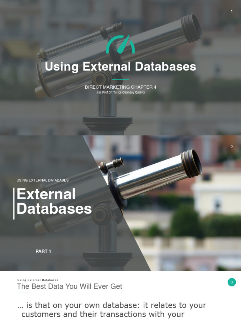 Chapter 4 - Using External Databases | PDF | Market Segmentation ...