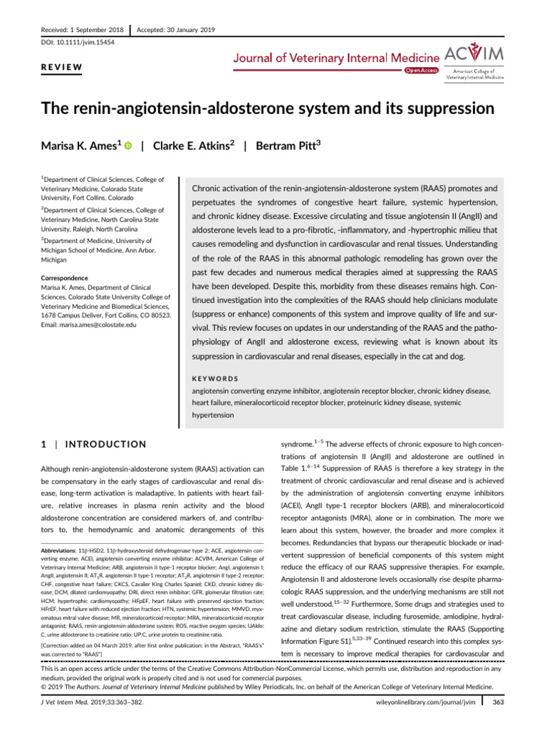 Jvim 33 363 | PDF | Angiotensin | Kidney