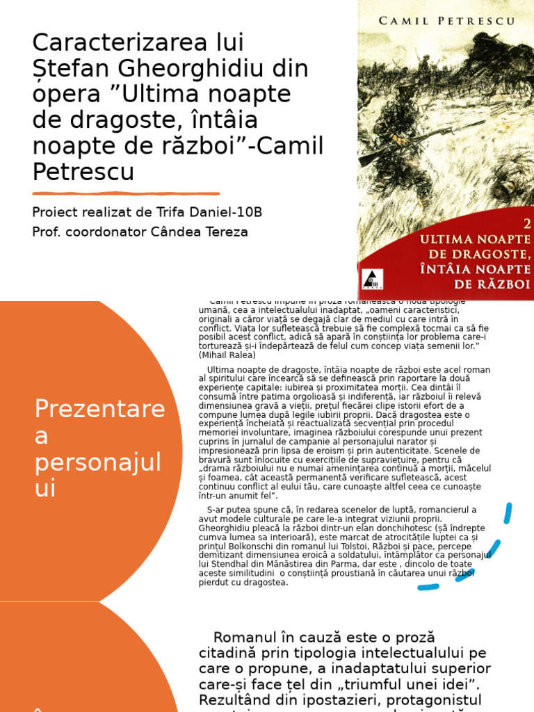 Caracterizare Stefan Gheroghidiu | PDF