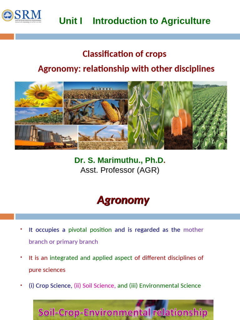 Crops Classification | PDF | Cereals | Crops