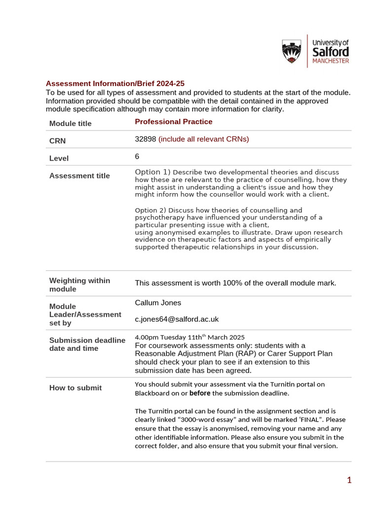Newest Assessment Brief Form 2024-25 (1) (1)[1] | PDF | Theory | Learning