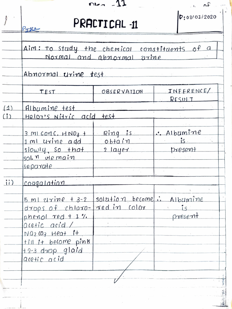 Abnormal Urine Test | PDF