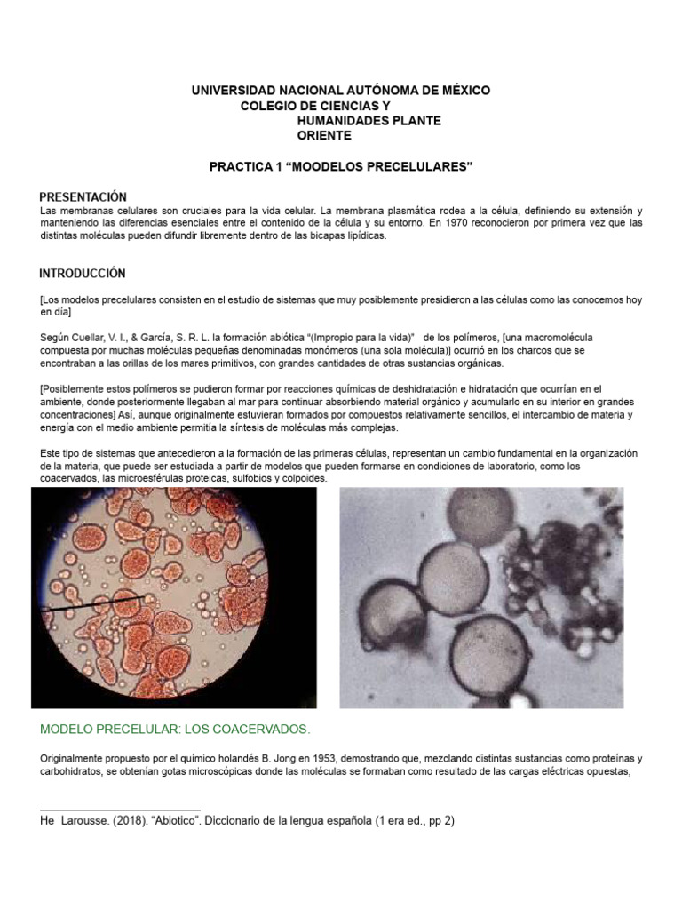 Copia de Practica 1 Modelos Precelulares | PDF | Biología Celular ...
