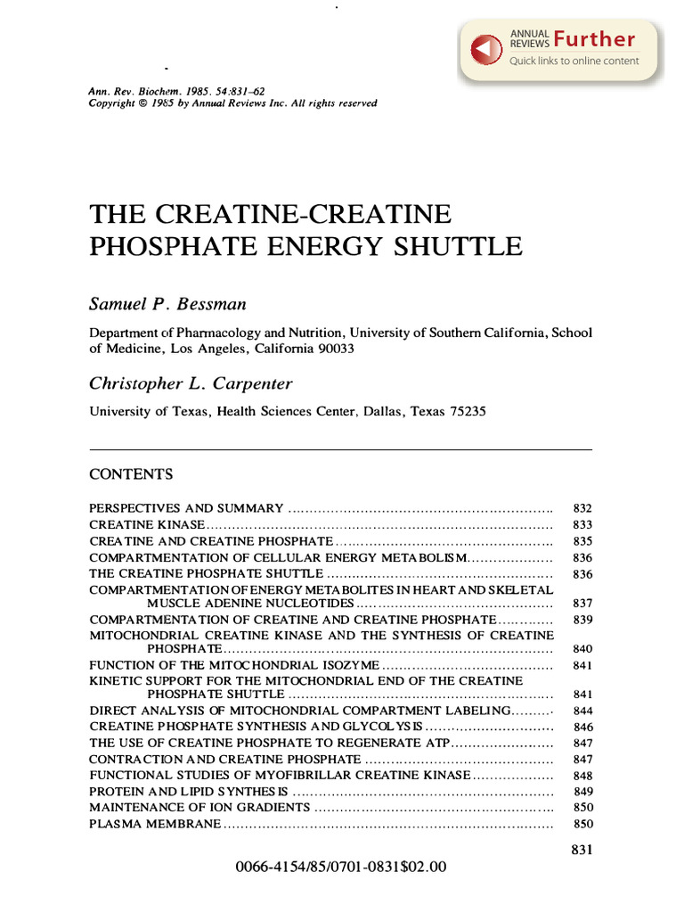 The Creatine-Creatine Phosphate Energy Shuttle | PDF | Adenosine ...