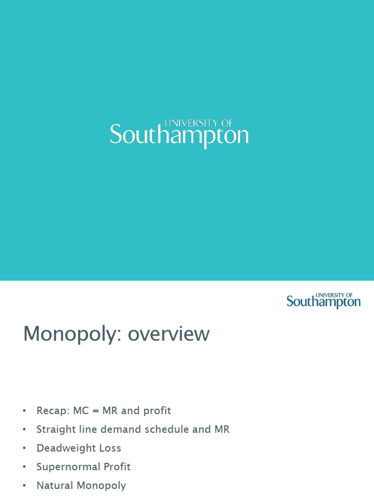 Monopoly Concepts and Definitions | PDF | Monopoly | Profit (Economics)