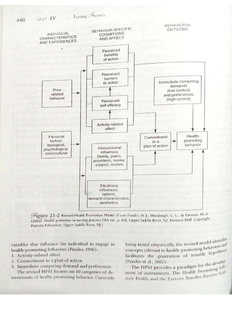 Health Promotion Model 2 English | PDF