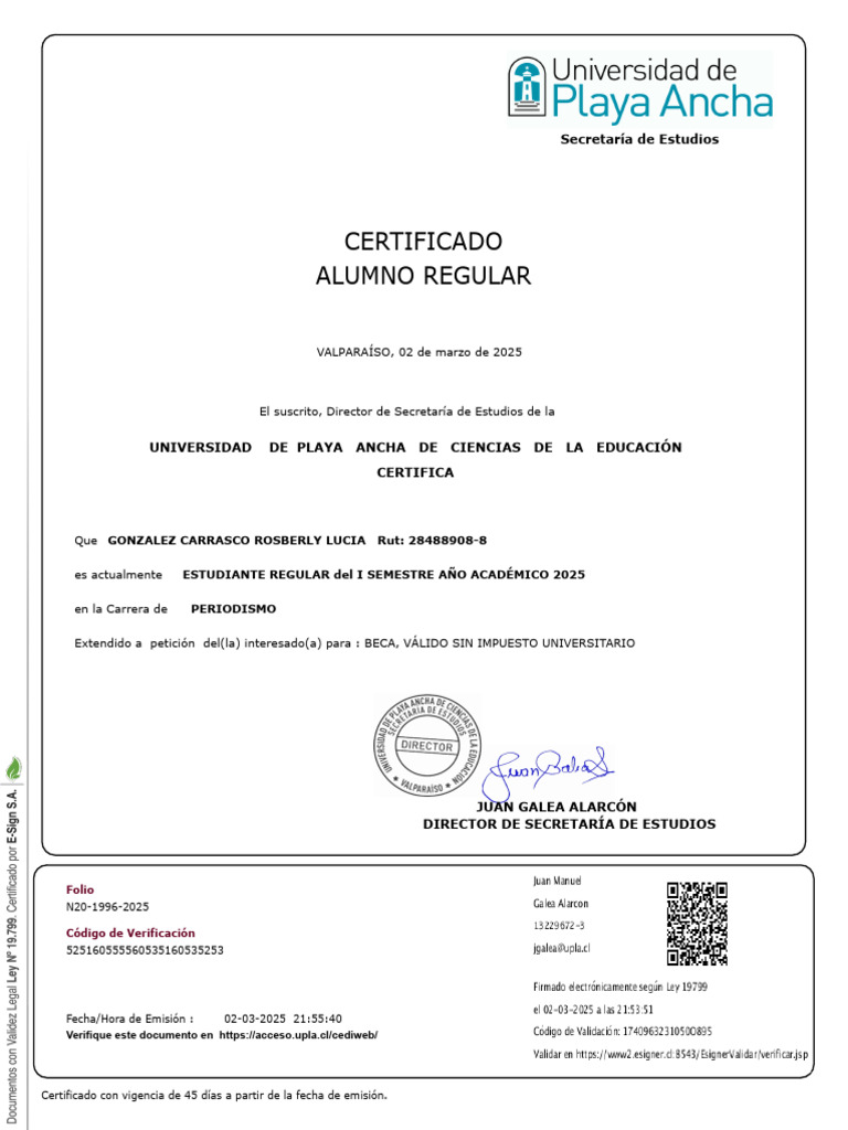 N20 1996 2025visado | PDF