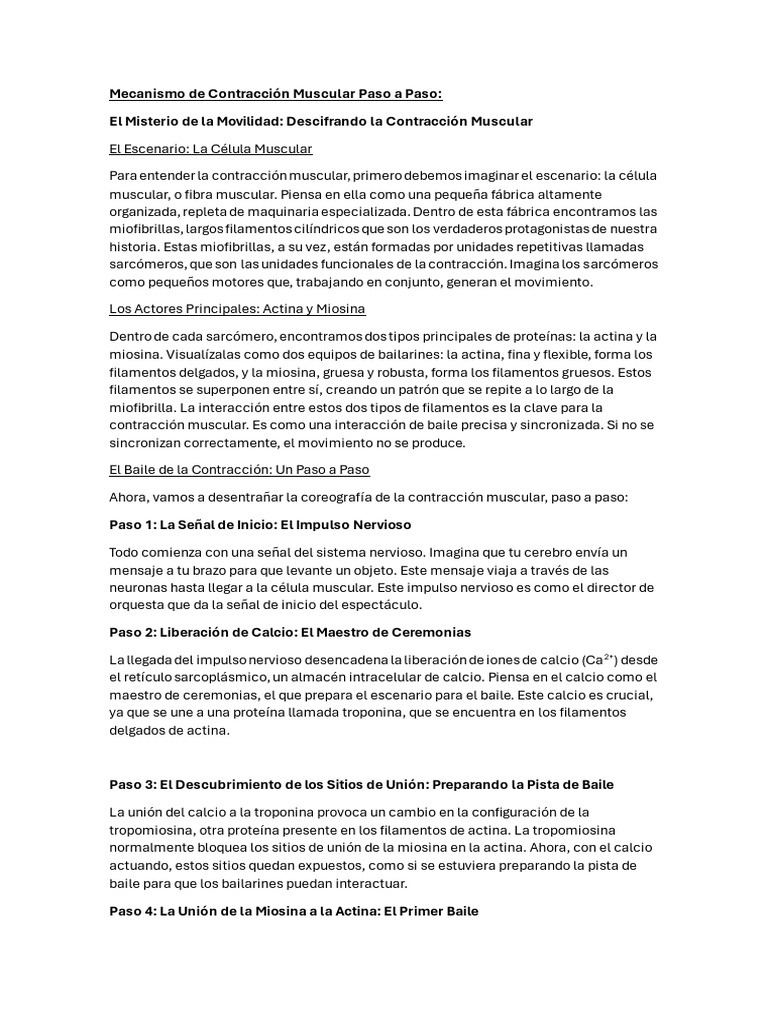 Guía de Contracción Muscular Paso a Paso | PDF | Músculo | Contracción ...