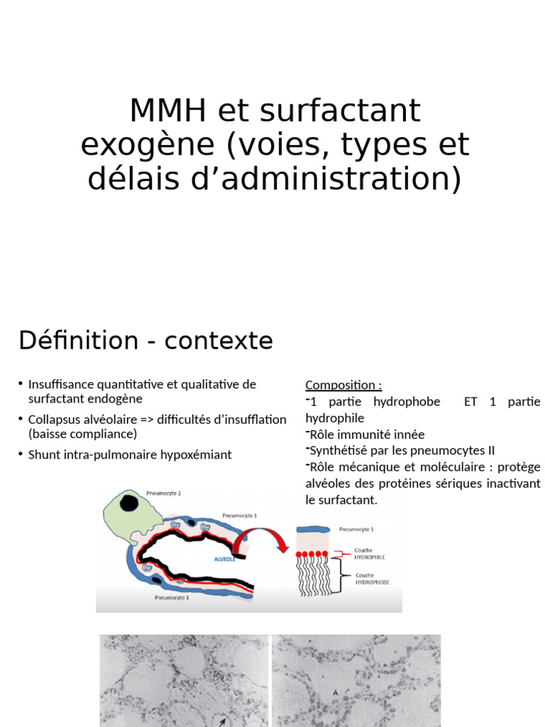 MMH Et Surfactant Exogène | PDF | Maladies et troubles | Spécialités médicales