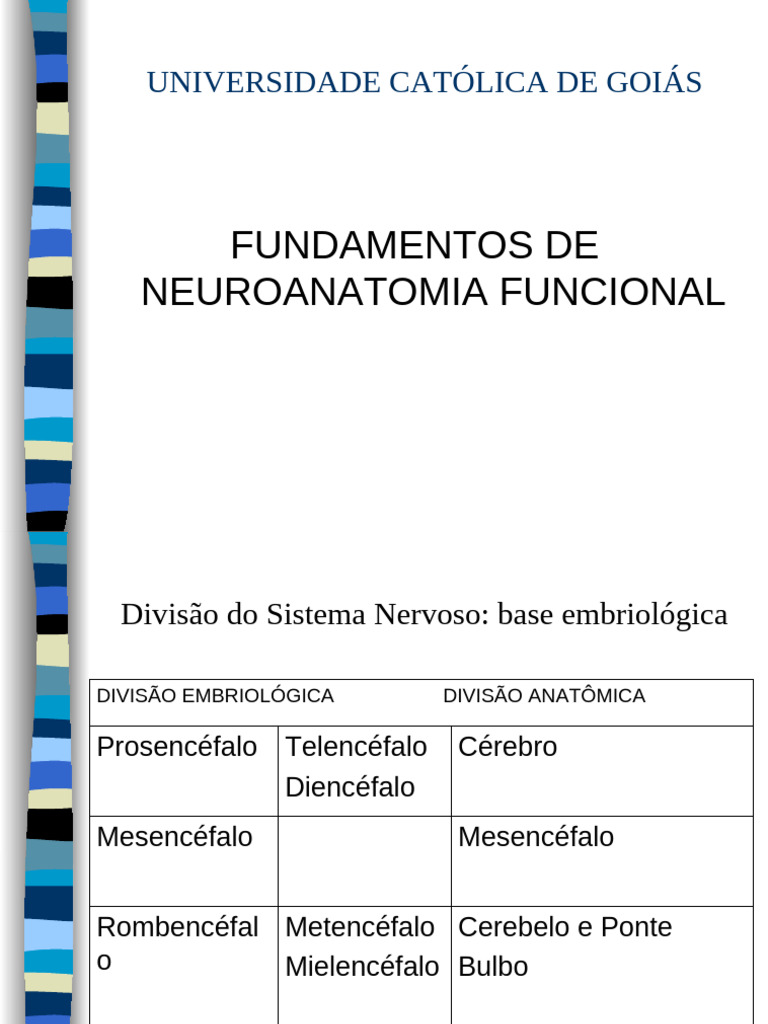 Neuroanatomia Completa | PDF | Cerebelo | Medula espinhal
