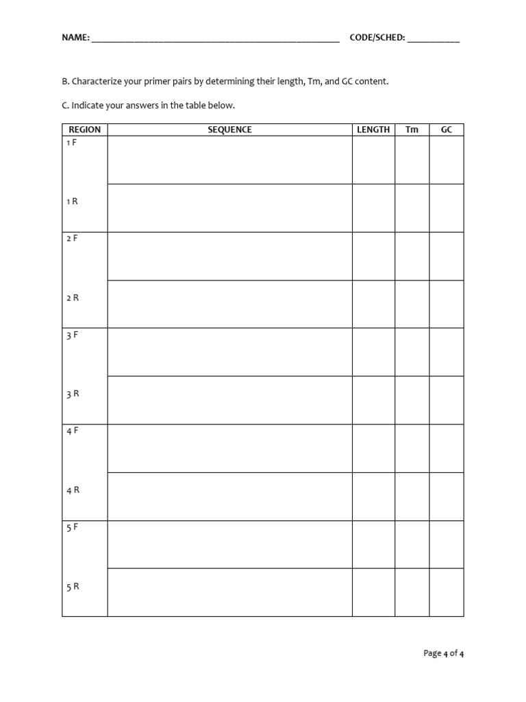 Act03 PrimerDesign | PDF