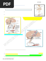 Resumen Capitulo 46 Guyton | PDF | Sinapsis | Neurona