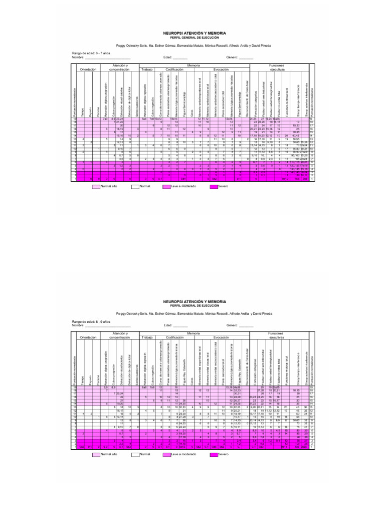 Perfiles Neuropsi Completos | PDF | Neurociencia conductual | Procesos mentales