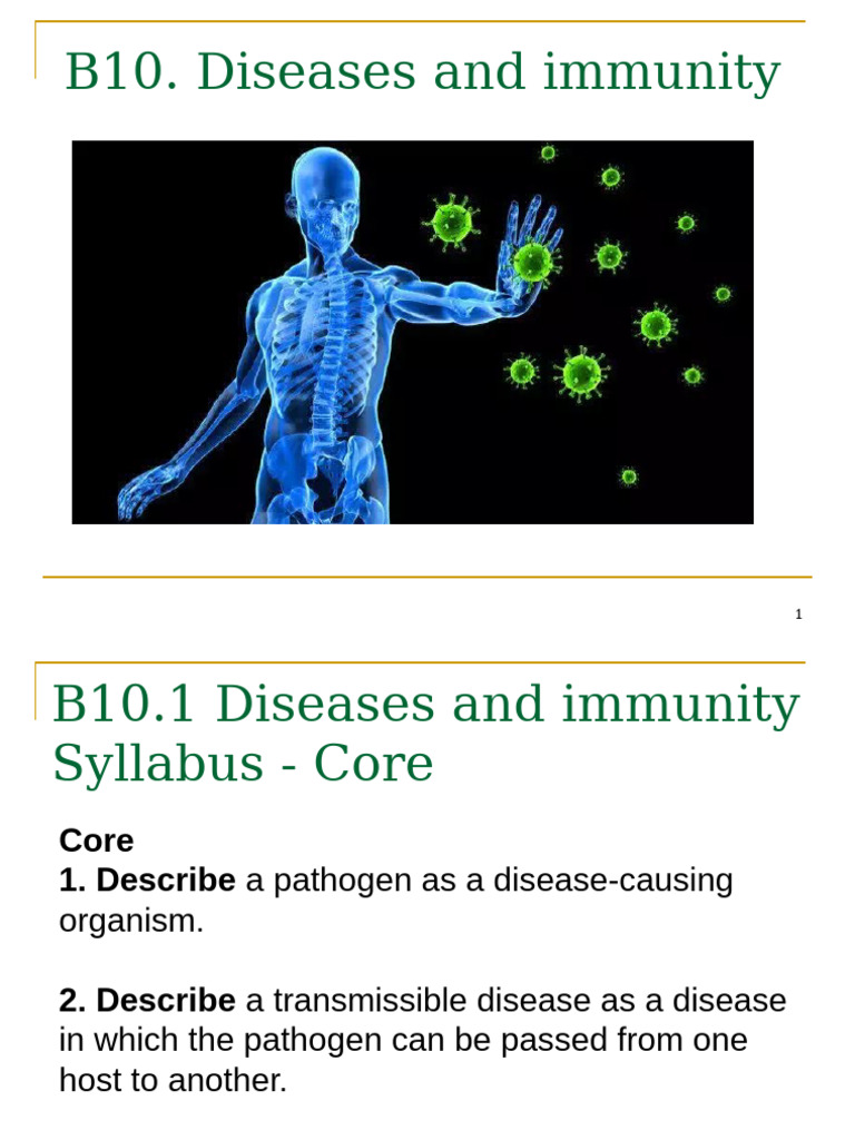 B10. Diseases and Immunity | PDF | Immune System | Adaptive Immune System