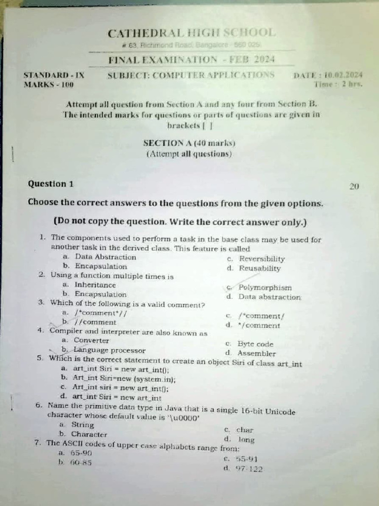 Computer Application Class 9 2024 Question Paper | PDF | Control Flow | Boolean Data Type