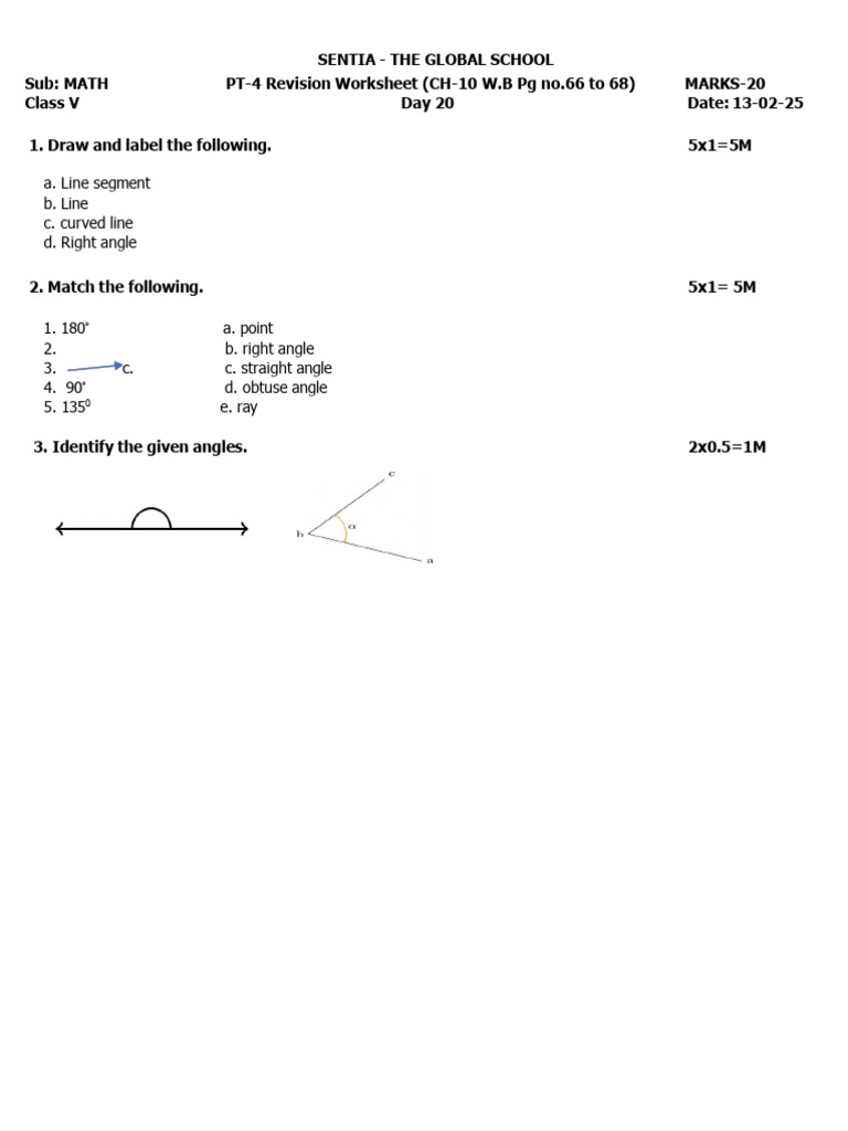 Class V Math Revision Worksheet | PDF
