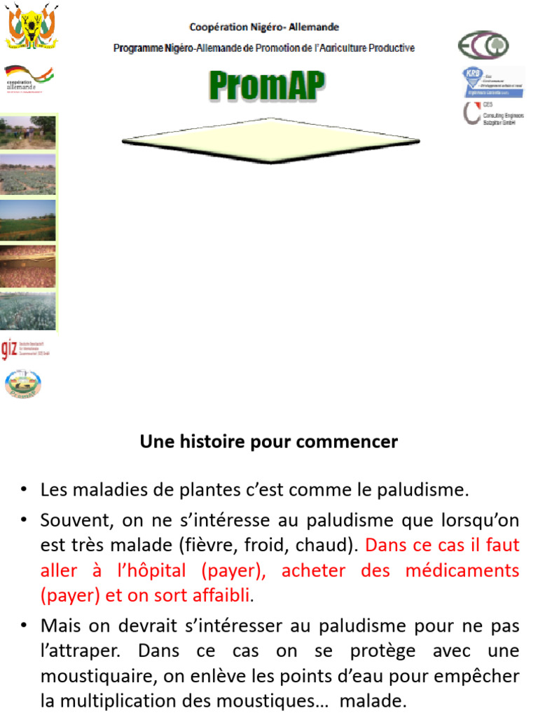 Protection des cultures maraîchères au Niger | PDF | Insecticide ...