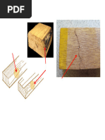 1.1.4.1 Timber Defects - Natural | PDF