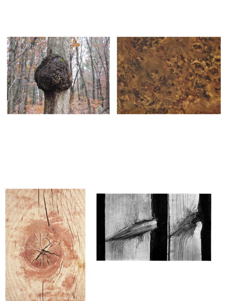 1.1.4.1 Timber Defects - Natural | PDF