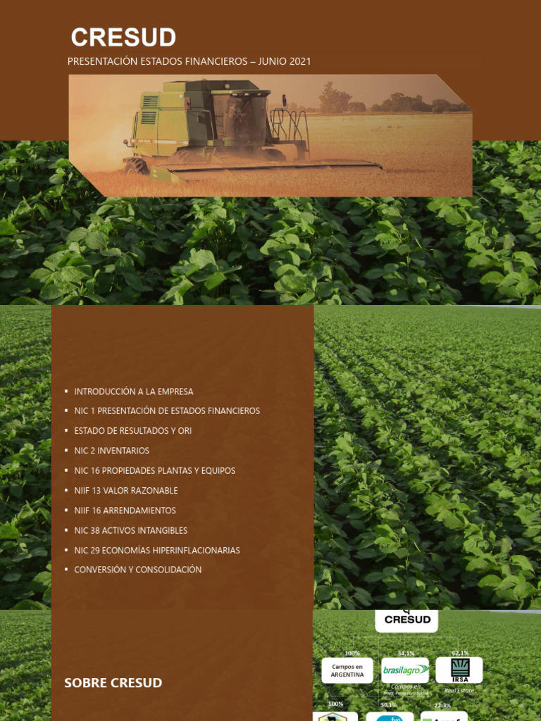 CRESUD Presentación EEFF 2021 | PDF | normas internacionales de ...