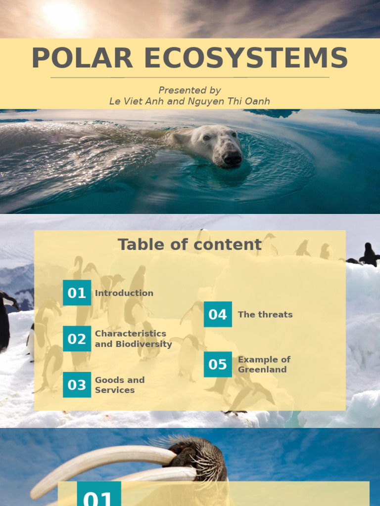 Polar Ecosystems: Biodiversity and Threats | PDF | Arctic | Physical ...