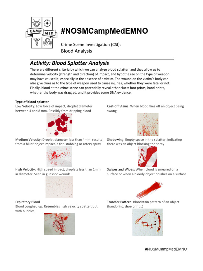 CSI Blood Analysis Handout | PDF | Blood Type | Anatomy