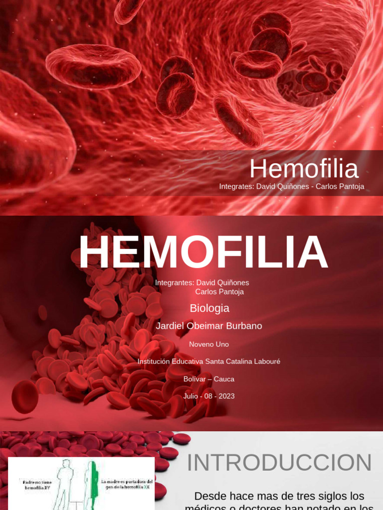 HEMOFILIA | PDF | Hemofilia | Coagulación