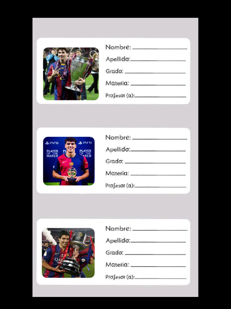 Etiquetas Escolares para Libros Floral Rosa y Azul | PDF