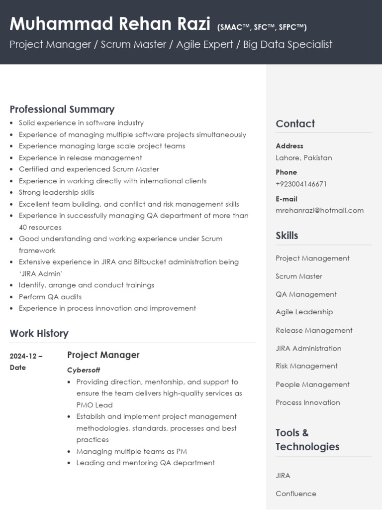 Rehan Razi - PMO | PDF | Scrum (Software Development) | Business