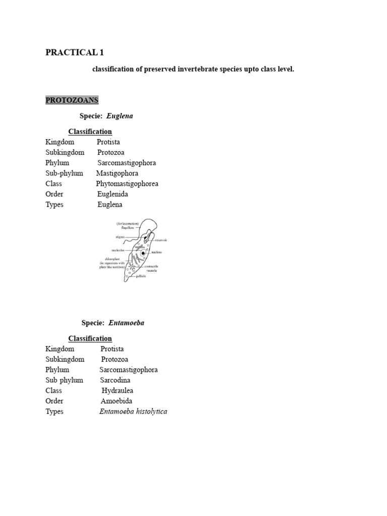 PRACTICALS Evolutionary Biology | PDF