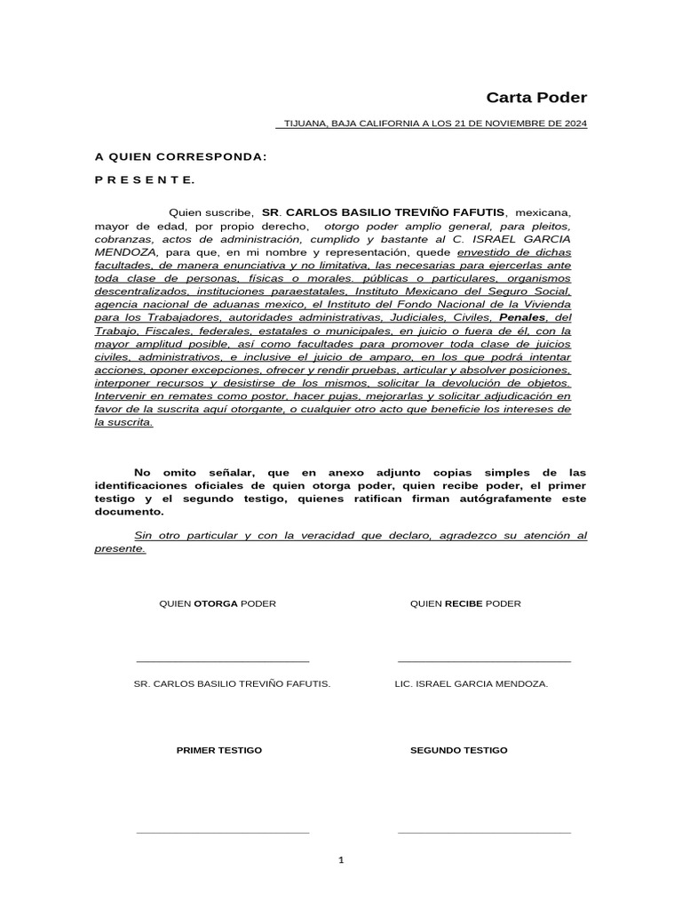 Carta Poder Carlos Fafutis | PDF