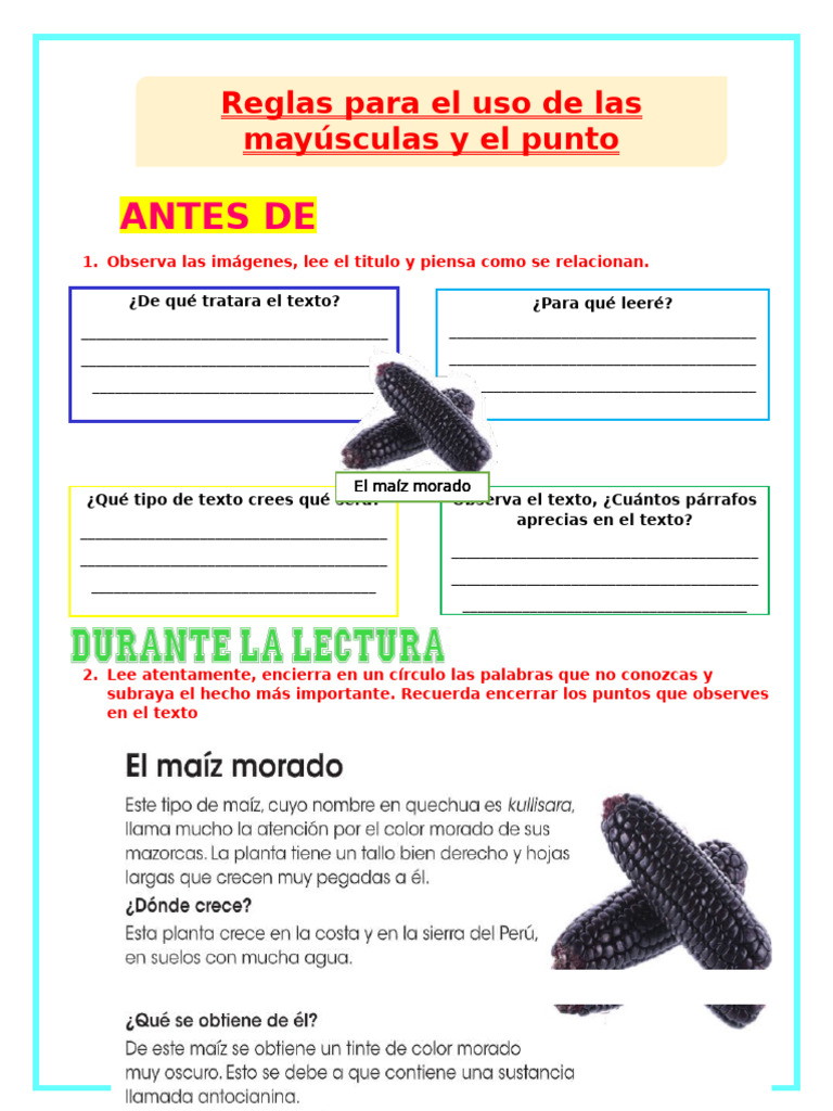 Ficha Comu Lun 10 Reglas Mayuscula y Punto - 032715 | PDF | Maíz