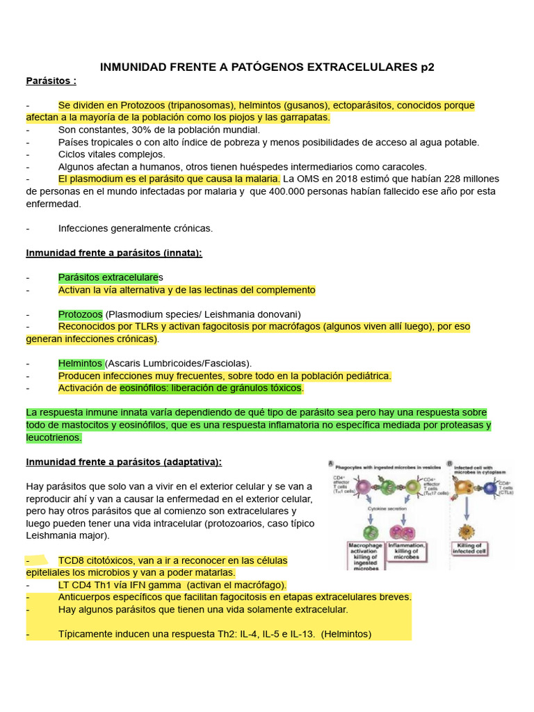 Clase 1 - Inmunidad Frente A Patógenos Extracelulares | PDF | Sistema inmune | Sistema inmune innato