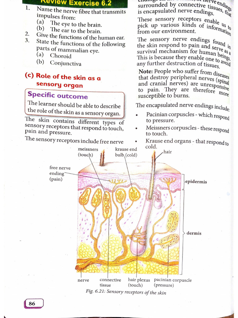 Excel Biology Book | PDF