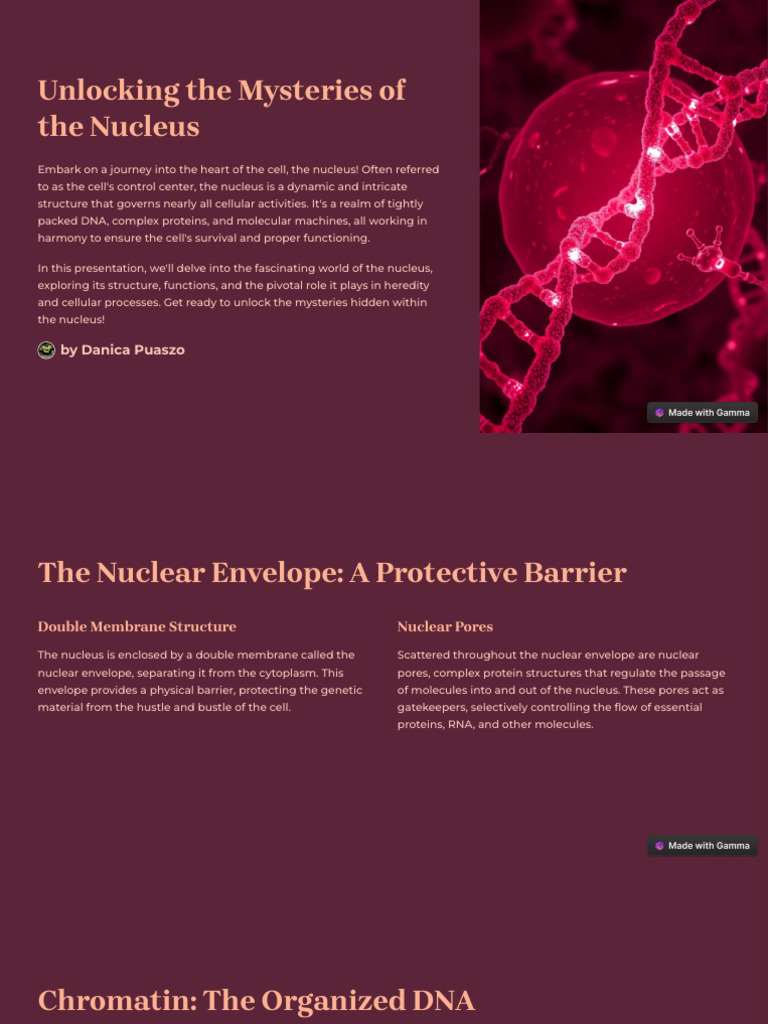 Unlocking The Mysteries of The Nucleus | PDF
