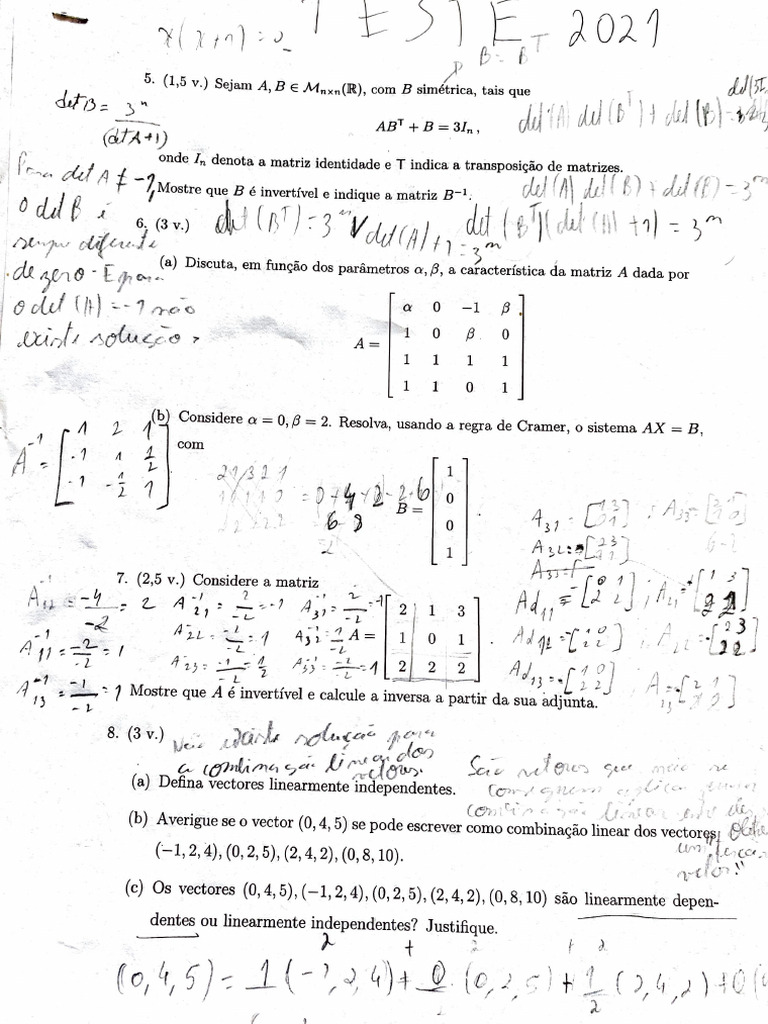 Análise de Matrizes e Dependência Linear | PDF | Álgebra linear ...