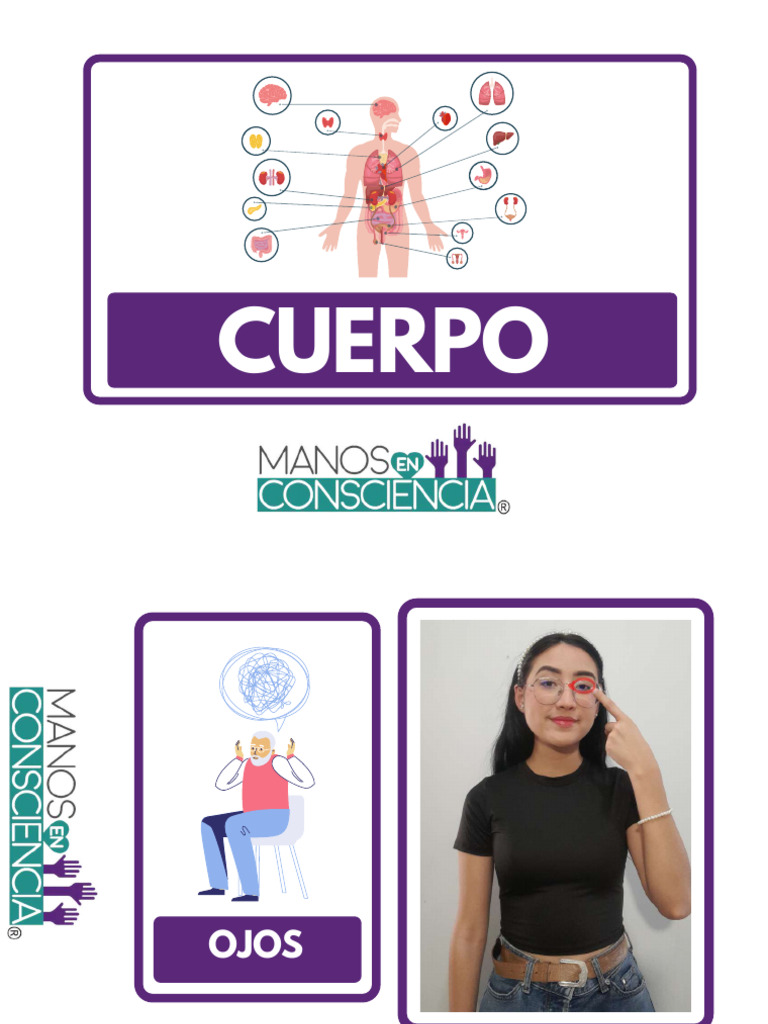 MÓDULO #1 CUERPO FLASHCARDS (C) - Compressed | PDF