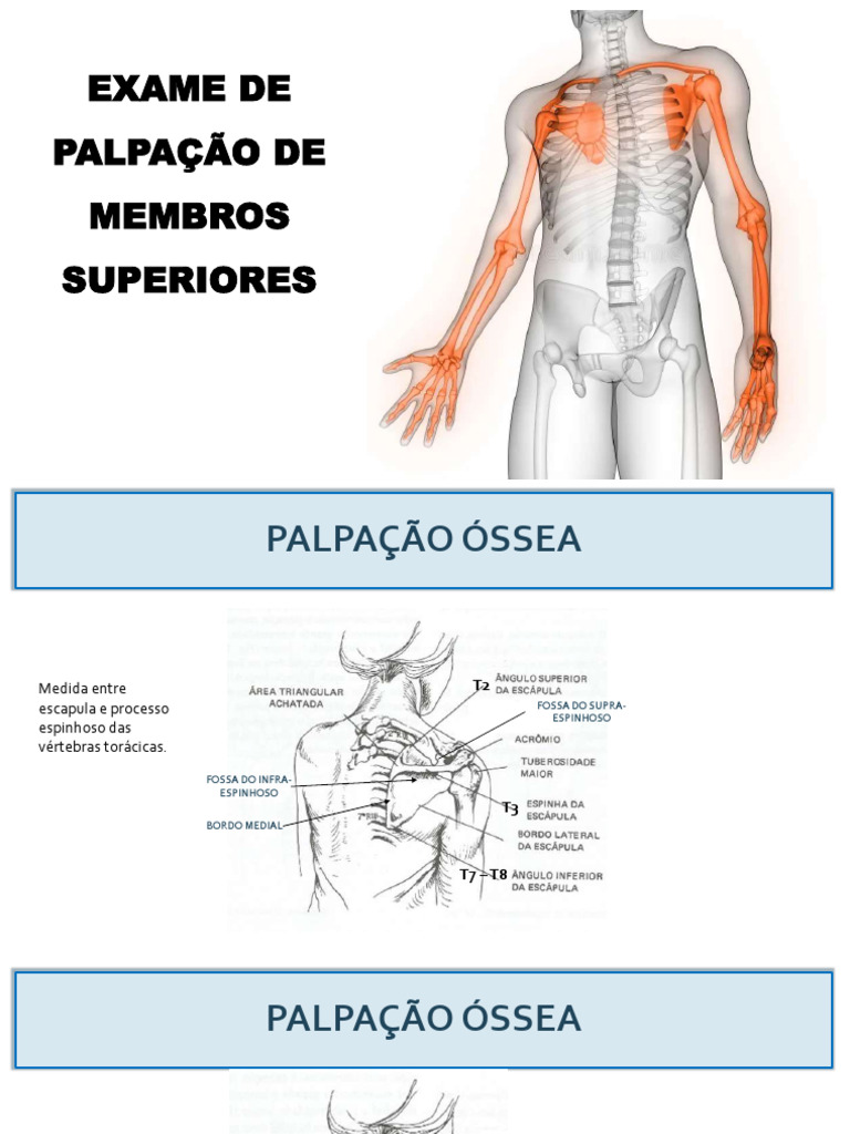 Palpação de Músculos e Estruturas do Ombro | PDF | Cotovelo | Anatomia ...