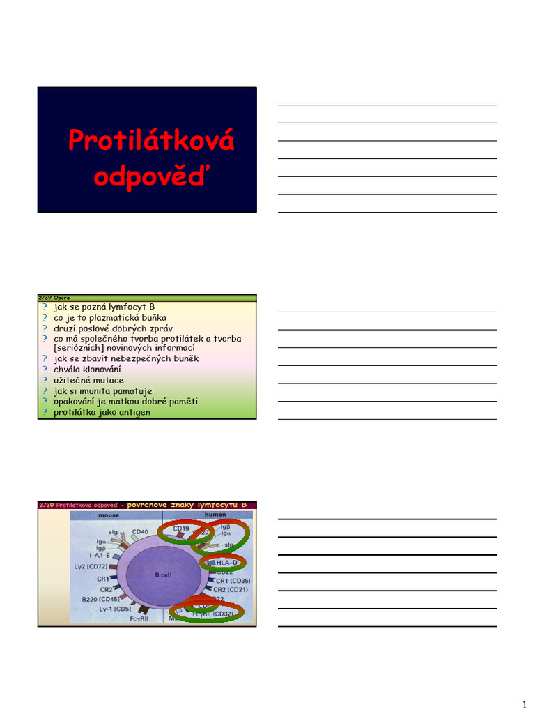 Protilatkova Odpoved | PDF
