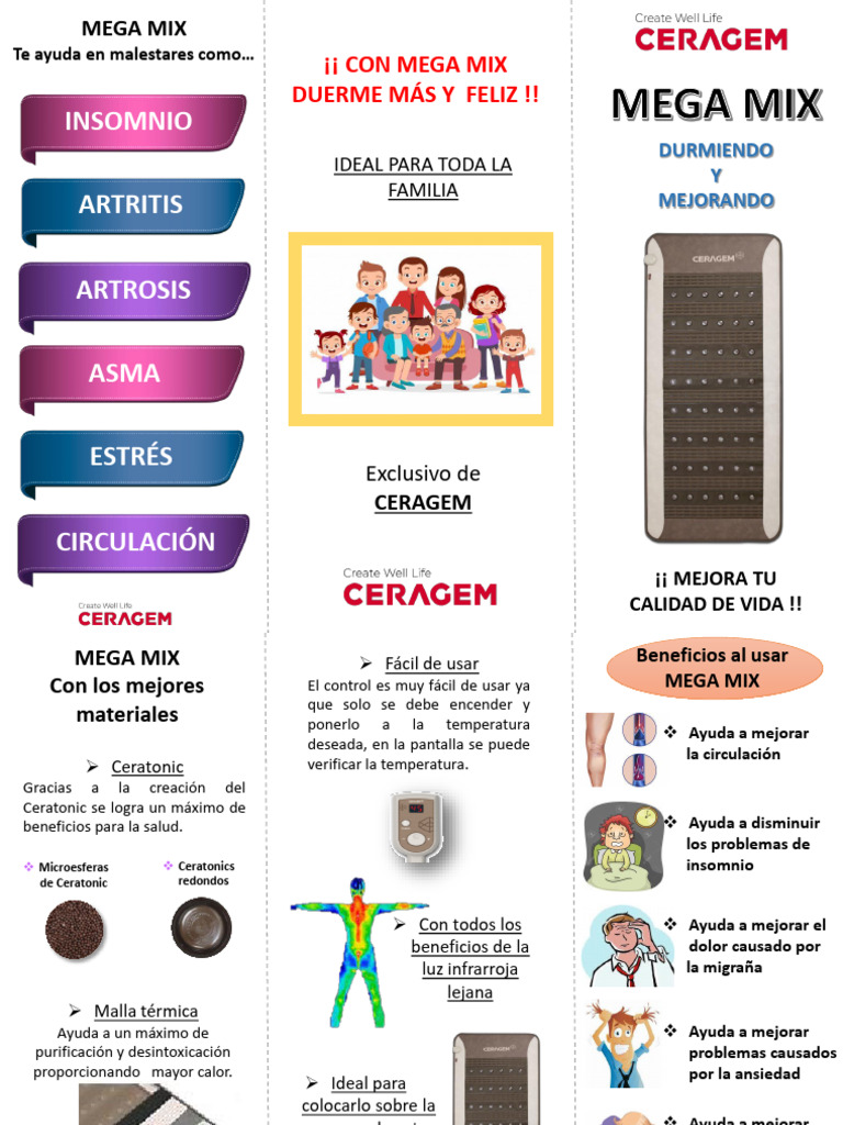 MEGA MIX Tríptico 2022 | PDF