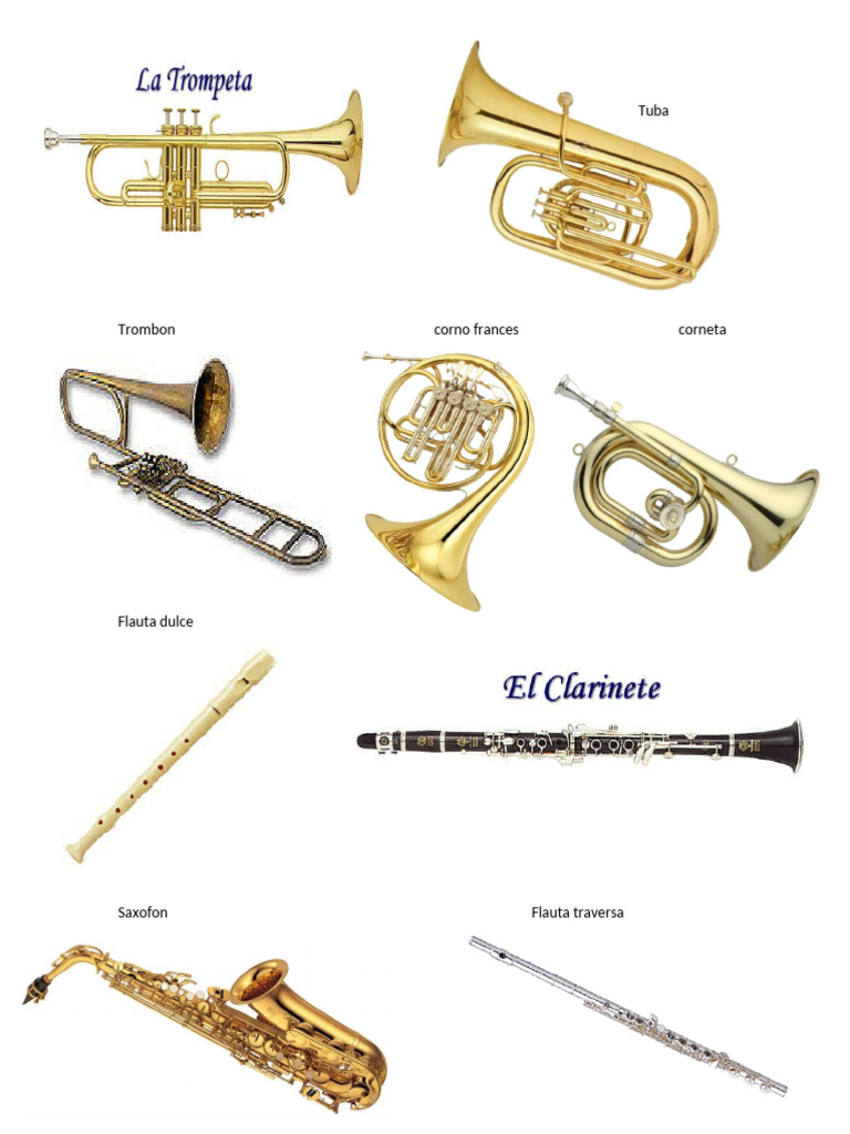 Instrumentos Musicales Diversos | PDF
