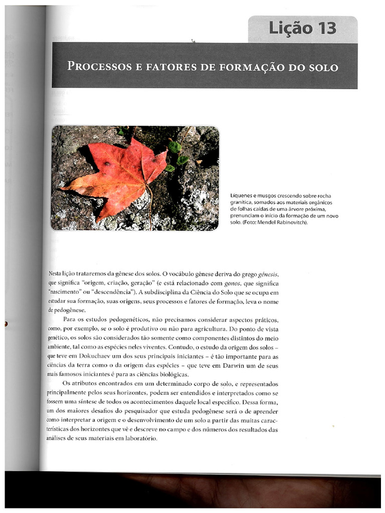 4 Lepsch - 19 - Licoes - Genese - Processos - Fatores - Formacao | PDF